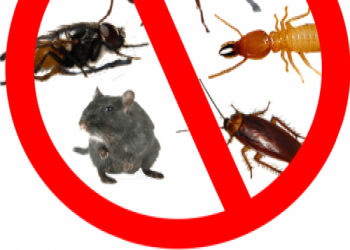 EVENTS - Clermont Parks