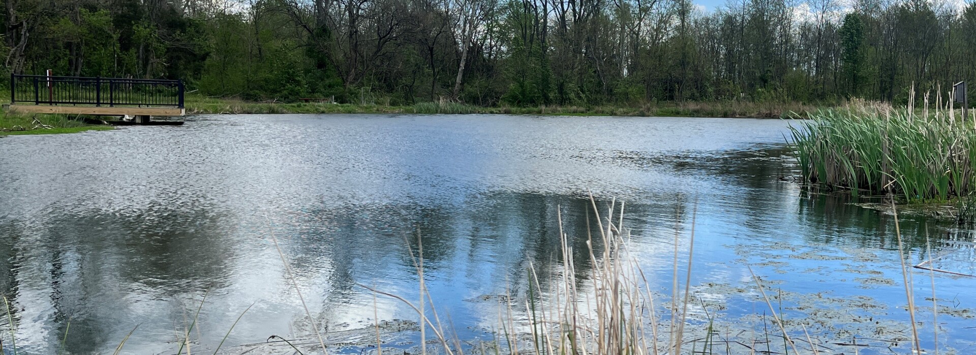 Kathryn Stagge-Marr Park - Clermont Parks