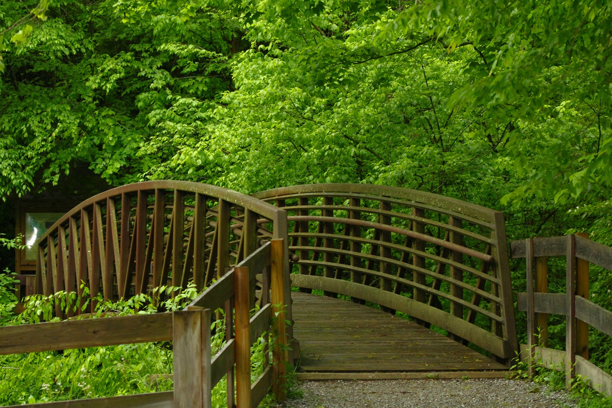 Sycamore Park and Wilson Nature Preserve - Clermont Parks